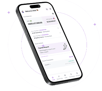 BridgePay | Make Online Payments in Both Dollars and Euros with Ease.